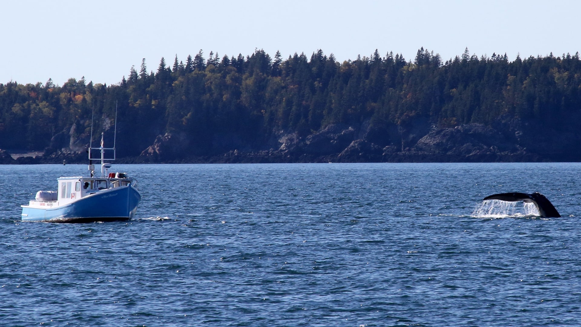 Calgary Car Rental - Book Now | Enterprise Rent-A-Car